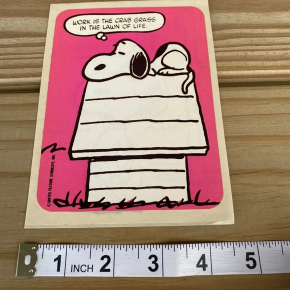 Peanuts | Other | Peanuts Snoopy The Dog Dont Do A Lot Of Barking Sleep ...